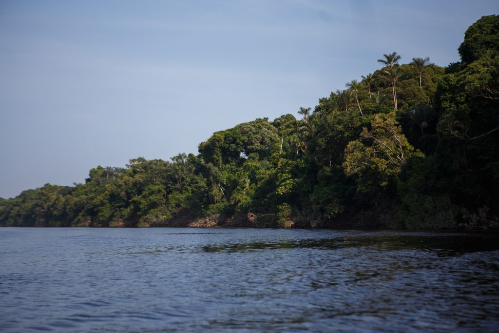 AMAZONAS - Amazonastur